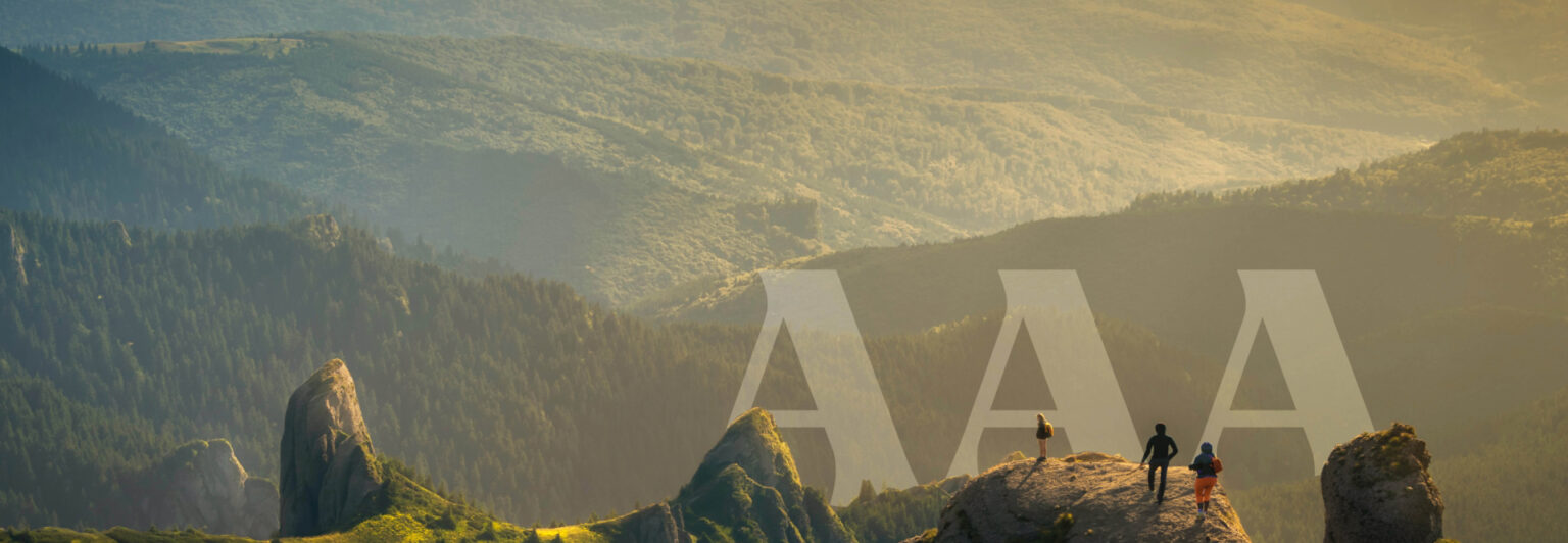 Nos engagements | Alan Allman Associates