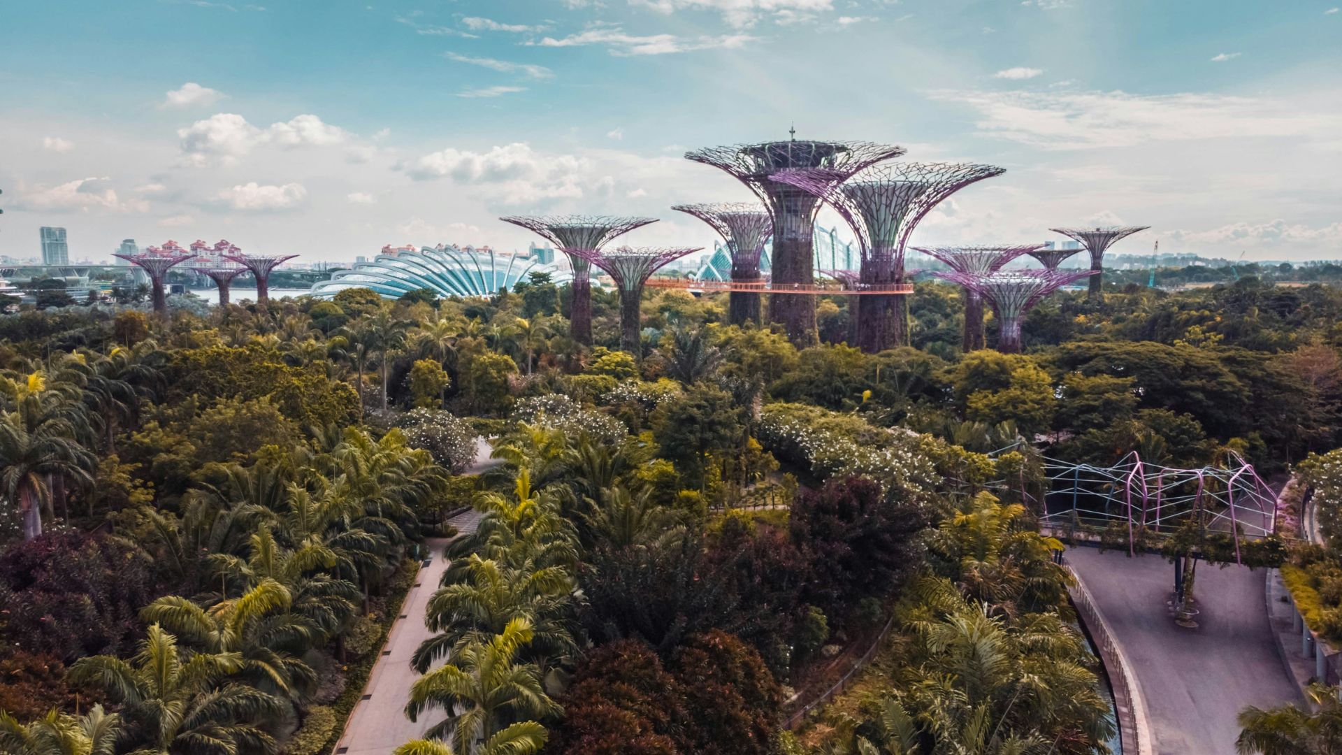 Un renforcement de la présence internationale : Zoom sur la zone Asie ...