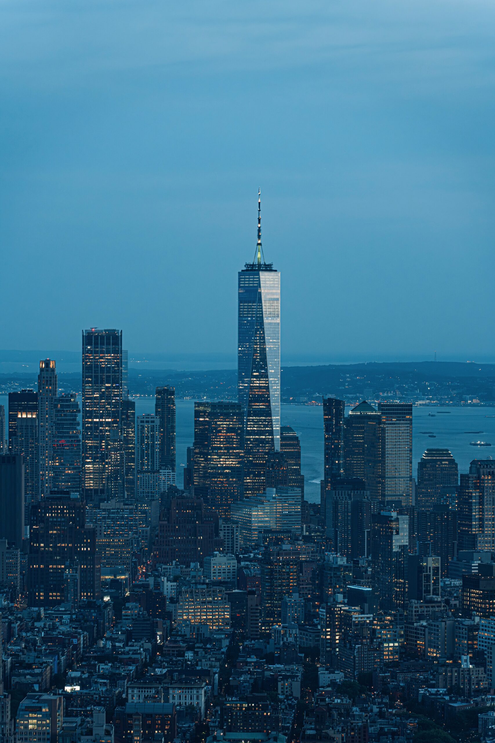 Alan Allman Associates announces its 2024 results | Alan Allman Associates