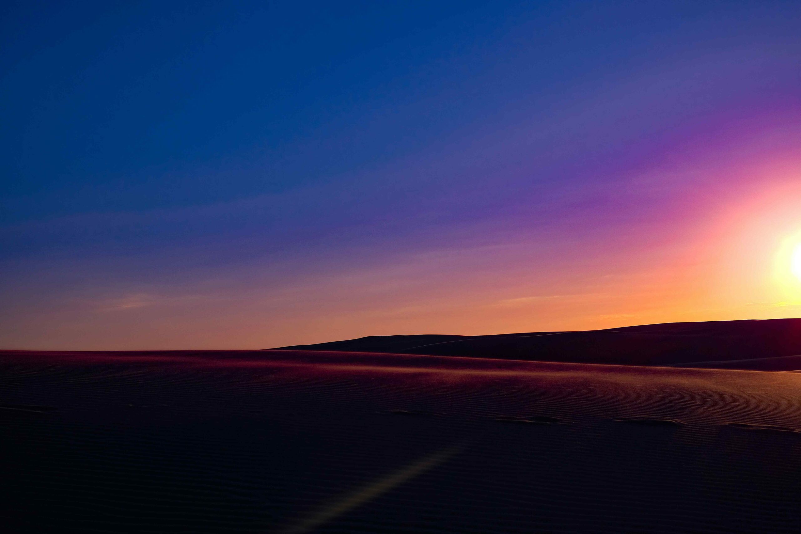 RISE 2025 | Alan Allman Associates
